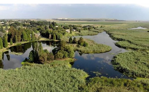 Luxury farm ranches for sale in Springs, Gauteng, South Africa ...