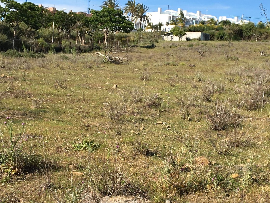 Cancelada Land In Cancelada, Spain For Sale (13474739)