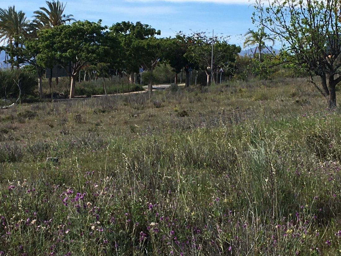Cancelada Land In Cancelada, Spain For Sale (13474739)