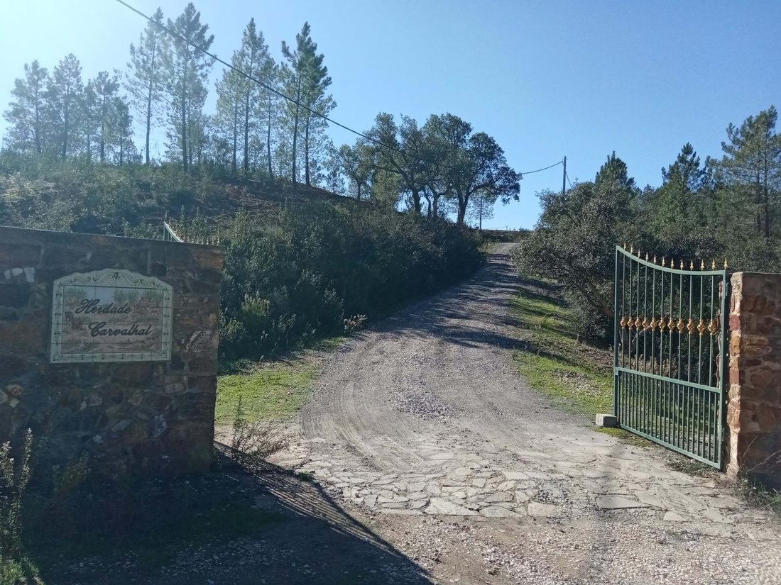 Unique Opportunity Herdade Located In The Locality Of In Faro, Portugal ...