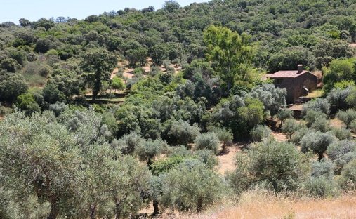 Luxury farm ranches for sale in Madroñera, Extremadura, Spain ...