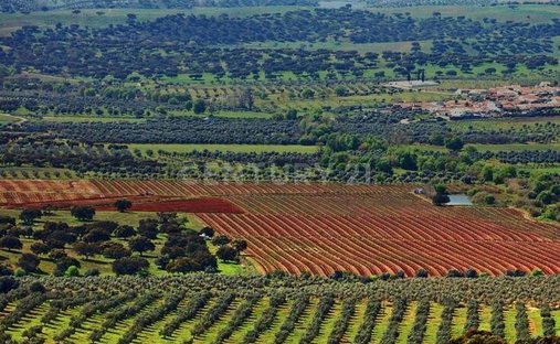 Luxury homes for sale in Vila Boim, Portalegre District, Portugal ...