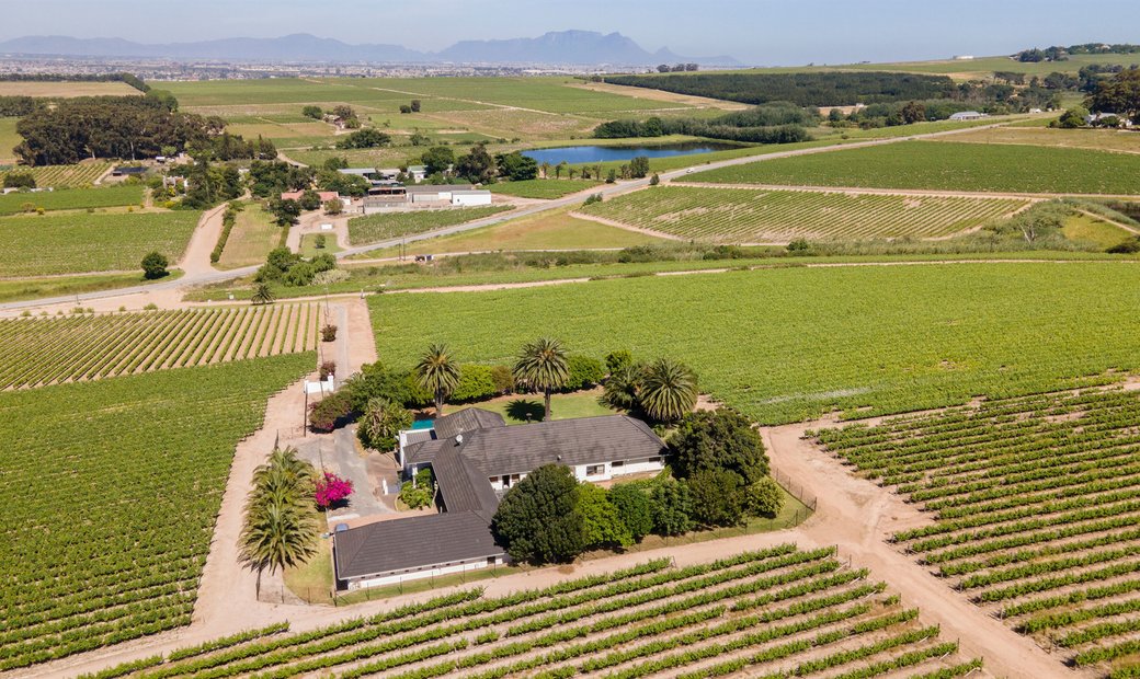 92 Ha Wine Farm Of Which 75 Ha's Of In Stellenbosch, Western Cape ...