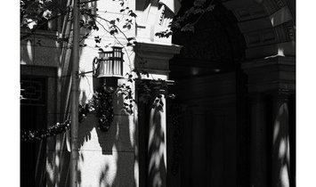 Rolex Oyster Perpetual 36mm M126000 0001 In Melbourne, Victoria ...