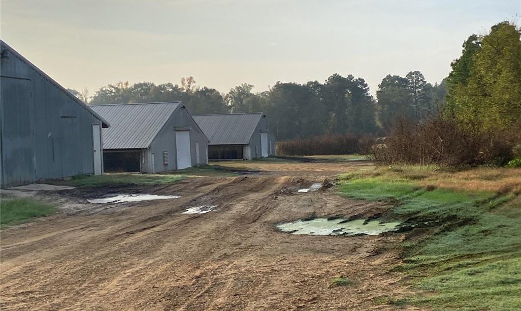 Farm/Ranch In Tenaha, Texas, United States For Sale (13559106)