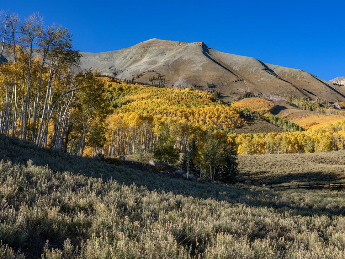 Create Your Dream Home Surrounded In Mountain Village, Colorado, United ...