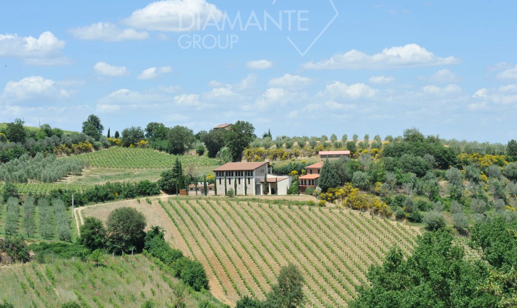 Az128 Organic Wine Farm Of 5.5 Hectares With In Montepulciano, Tuscany ...