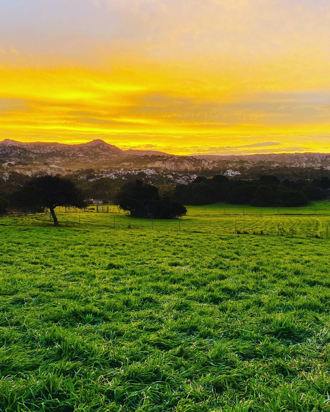 Agritourisme à Vendre à Arzachena, Pays Bas Dans Sardaigne, Italie à ...
