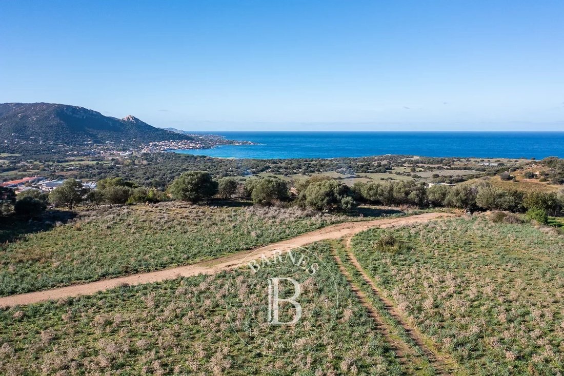 Corbara, Building Plot With Planning Permission, In Corbara, Corsica ...