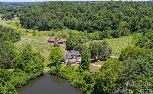 Luxury homes with vineyard / winery for sale in Nebo, North Carolina ...