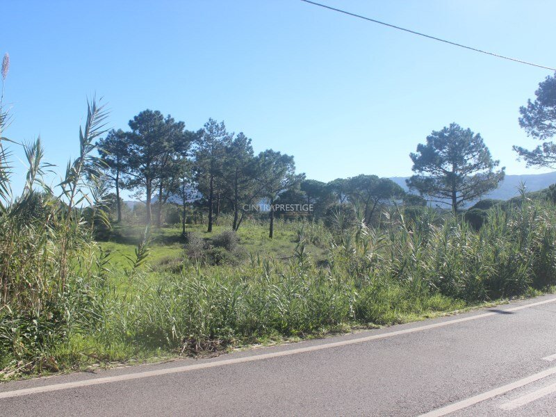 Janas Land With 10,500m2 With Construction Area In Sintra, Lisbon ...