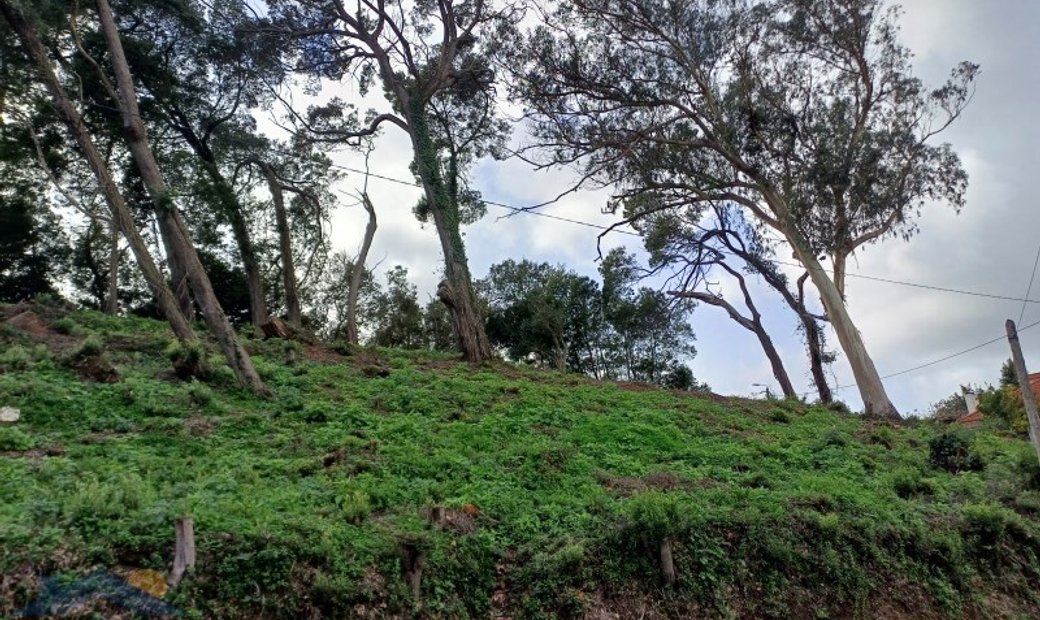 Plot Of Land With 6.200m2 With Pip In Approval For In Sintra, Lisbon ...