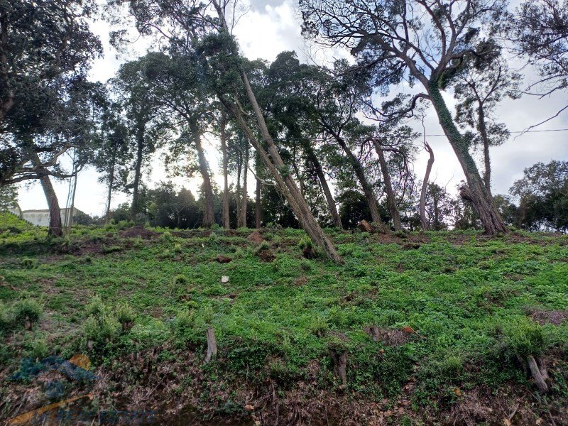 Plot Of Land With 6.200m2 With Pip In Approval For In Sintra, Lisbon ...