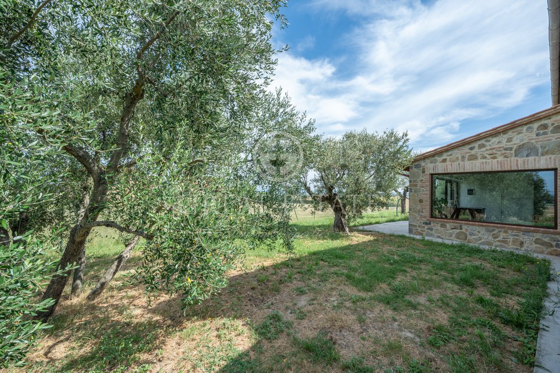 Podere Girasole In Umbria, Italy For Sale (13637187)