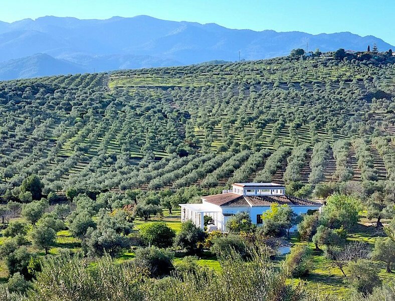 Coin Villa In Coín, Andalusia, Spain For Sale (13709416)