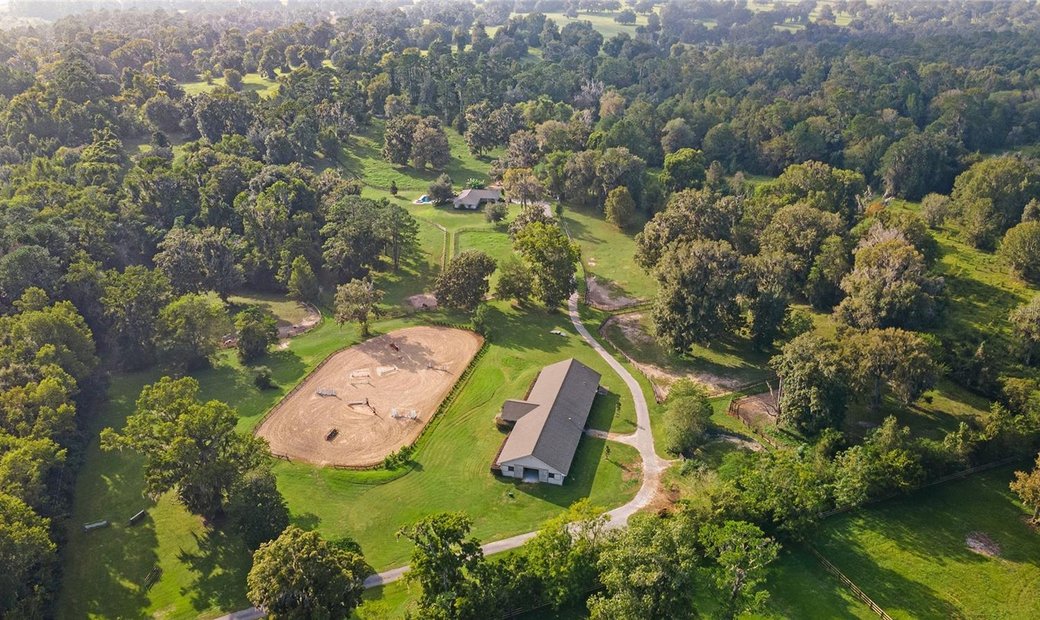 Reddick Farm In Reddick, Florida, United States For Sale (13762791)