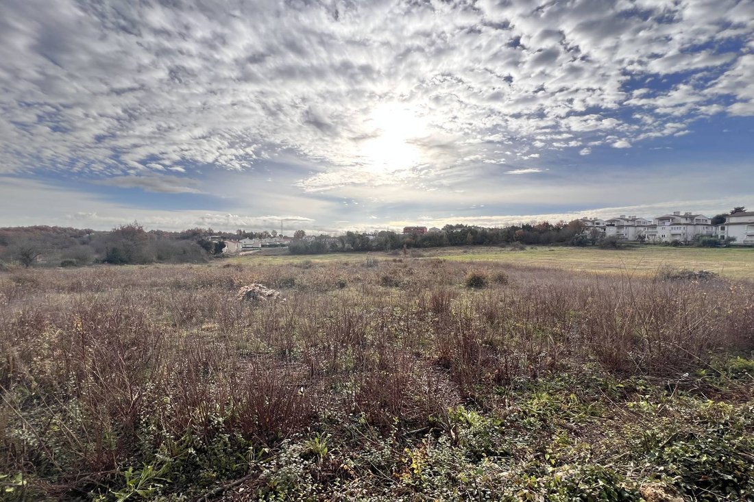 Istria, Tar Superb Exclusive Building Land In In Tar, Istria County ...