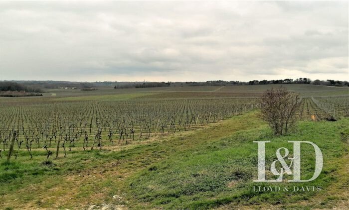 Targon House In Targon, Nouvelle Aquitaine, France For Sale (13846578)