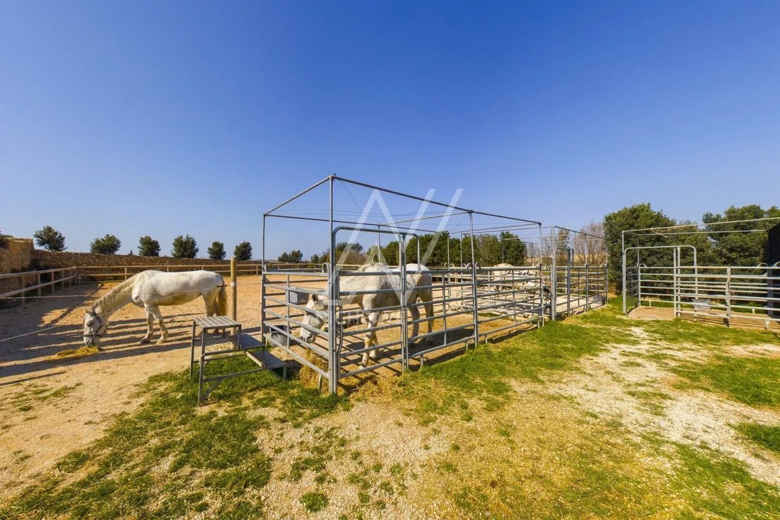 Unique Property In Dingli With Stables And Amazing Views In ħad Dingli ...