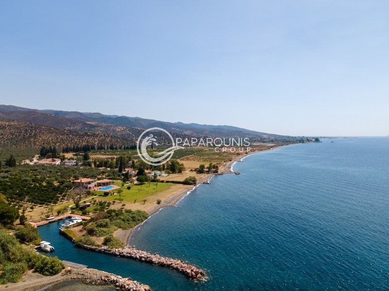 In Plepi, Decentralized Administration Of Peloponnese, Western Greece ...