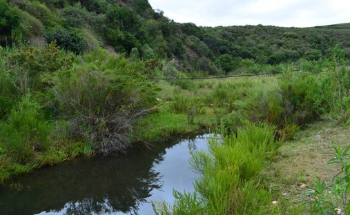 Luxury farm ranches for sale in Albertinia, Western Cape, South Africa ...