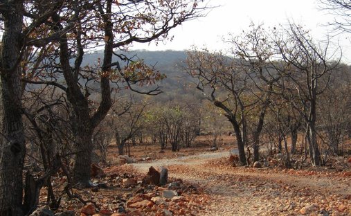 Luxury farm ranches for sale in Outjo, Kunene Region, Namibia ...