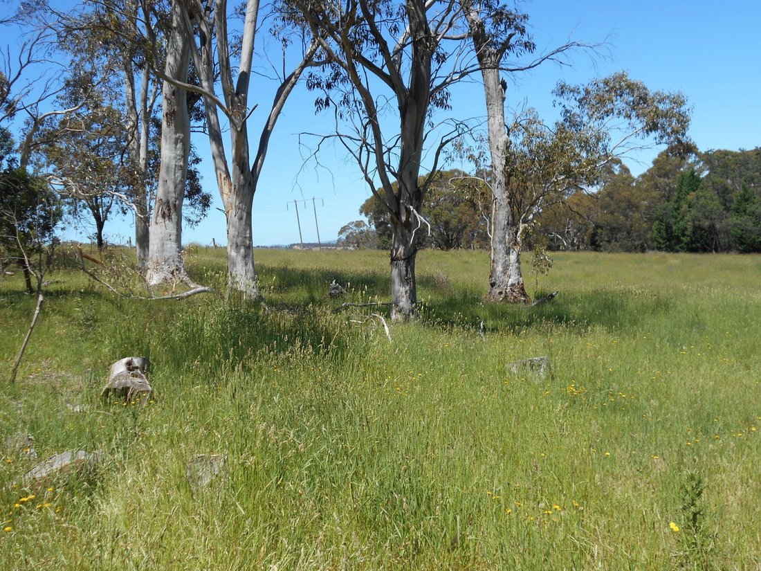 Pristine Equestrian Estate In Meadow In Meadow Flat, New South Wales ...