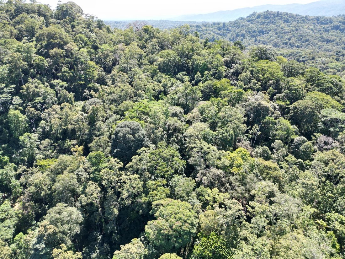 Prime Coastal Opportunity: 24,104 Sqm Of High Ocean In Limon, Limón ...