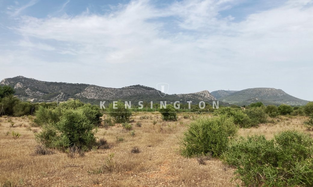 Building Plot With A Finca Building In Llucmajor, Balearic Islands, Spain For Sale (13093281)