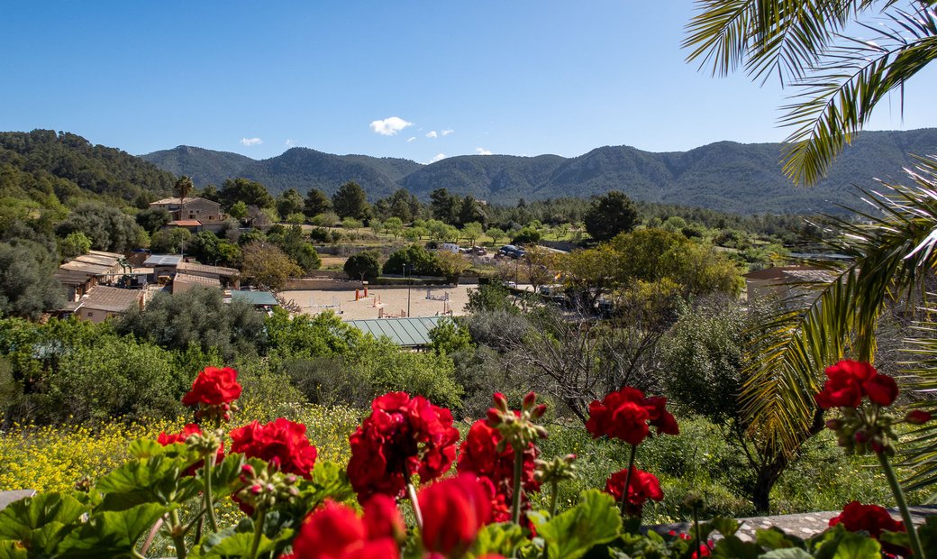 Calvià Village Finca In Calvia, Balearic Islands, Spain For Sale (14004340)