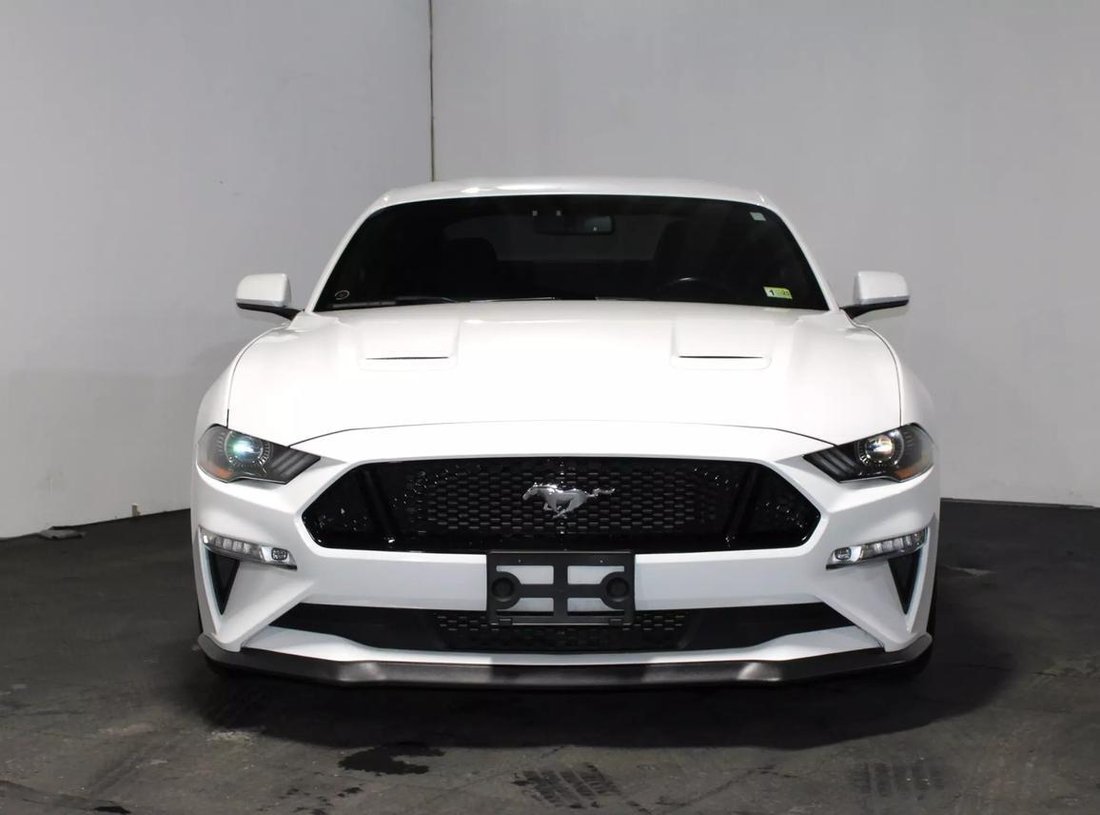 2019 Ford Mustang In Fredericksburg, Va, United States For Sale (14023637)