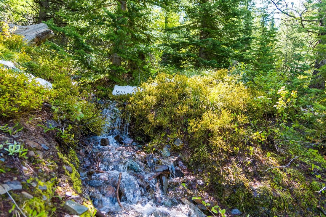 Nhn Griffin Creek Road In Marion, Montana, United States For Sale ...