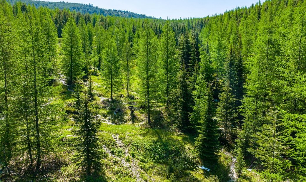 Nhn Griffin Creek Road In Marion, Montana, United States For Sale ...