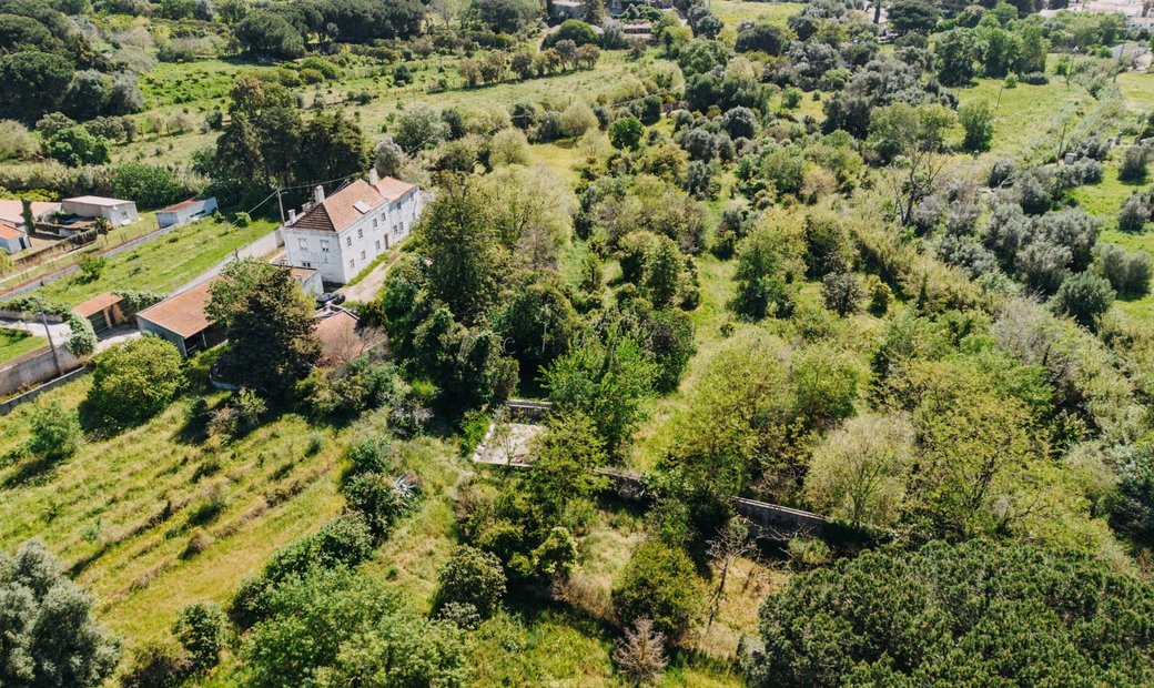 Farm / Quinta With 1.7 Hectares In In Setúbal Municipality, Setubal ...