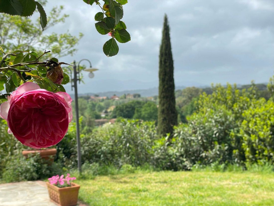 Colonica Buggiano In Colle Di Buggiano, Tuscany, Italy For Sale (14114074)