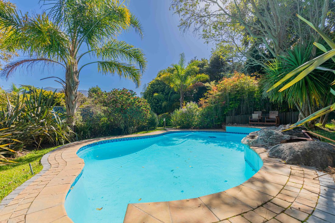 Hidden Oasis In Upper Constantia In Cape Town, Western Cape, South ...