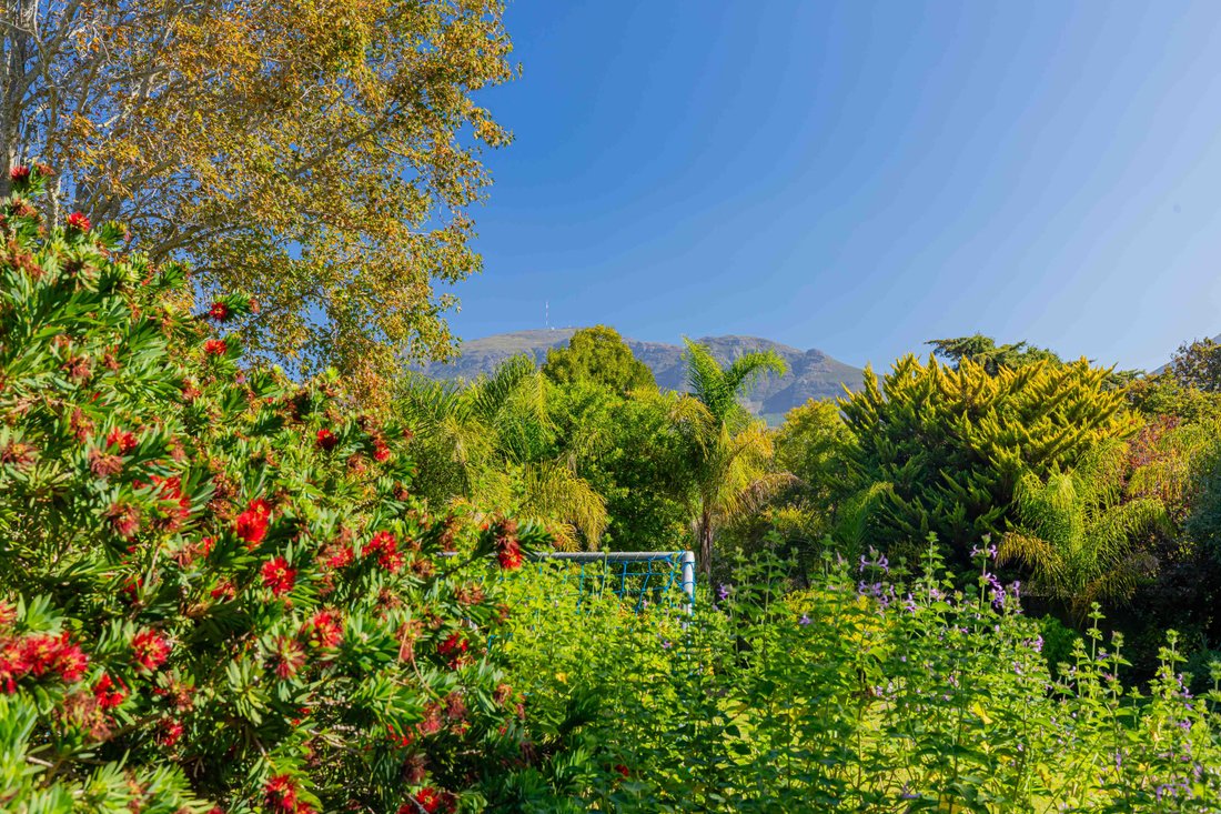 Hidden Oasis In Upper Constantia In Cape Town, Western Cape, South ...