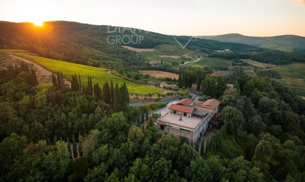 Az295 Organic Wine Farm With Winery, In Radda In Chianti, Tuscany ...
