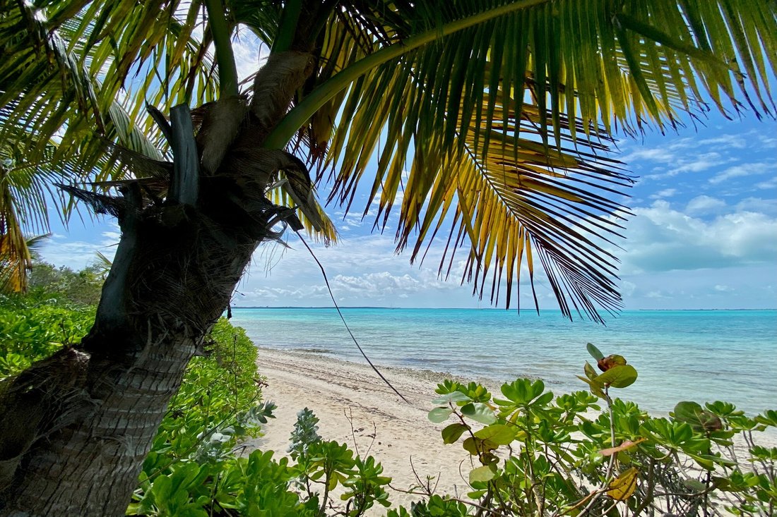 Residencia Frente Al Mar En El Corazón De En Rock Sound, Eleuthera Sur ...