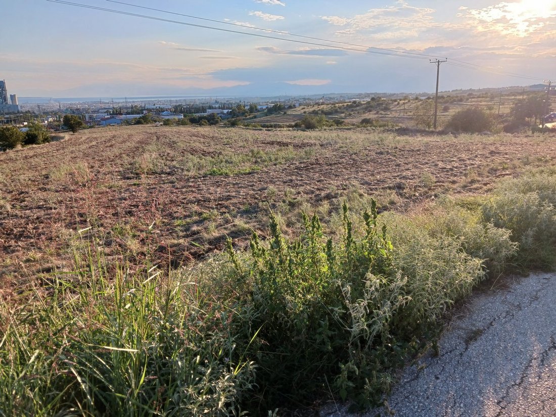 Plot Derveni Greece In Greece For Sale (14150986)