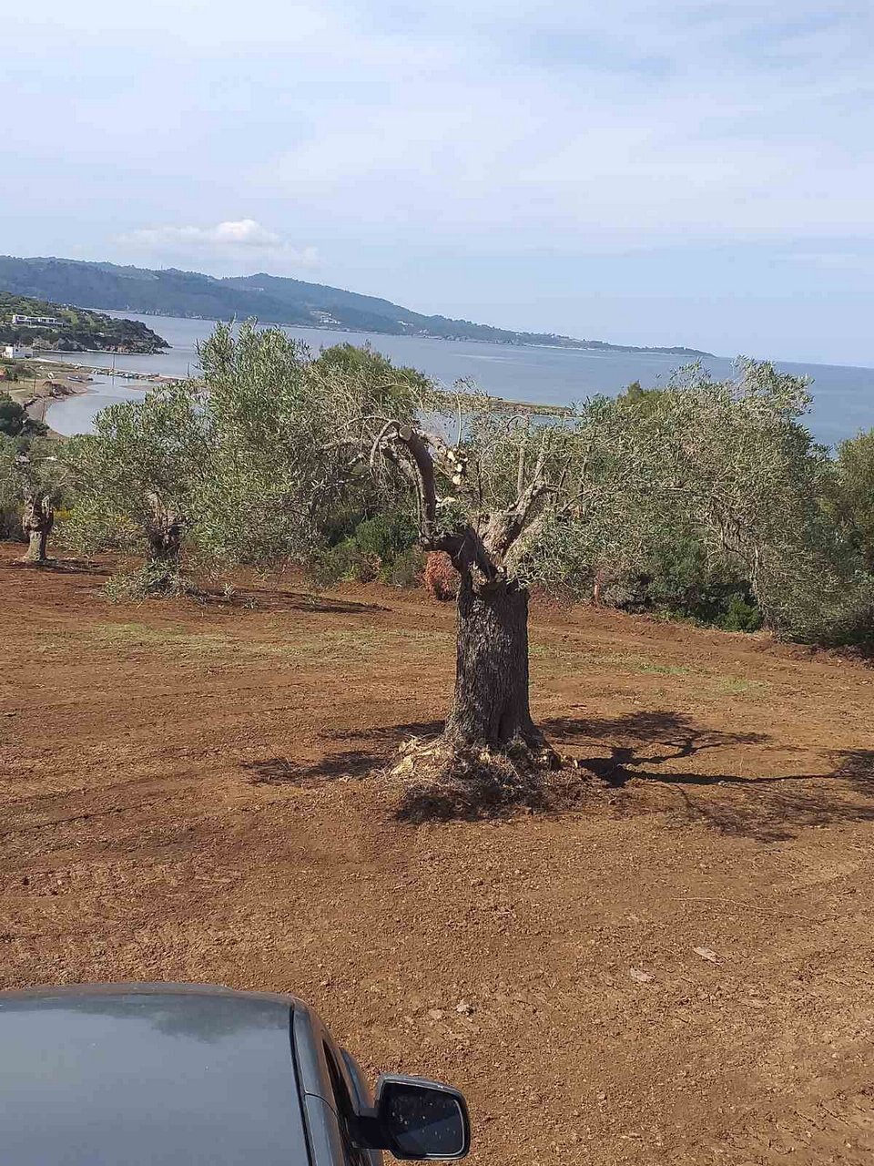 Plot In Paliouri, Decentralized Administration Of Macedonia And Thrace ...