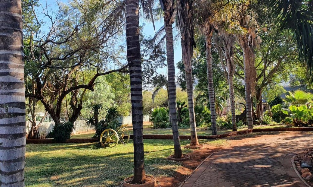 Productive 241 Ha Mixed Farming Farm For In Mokopane, Limpopo, South ...