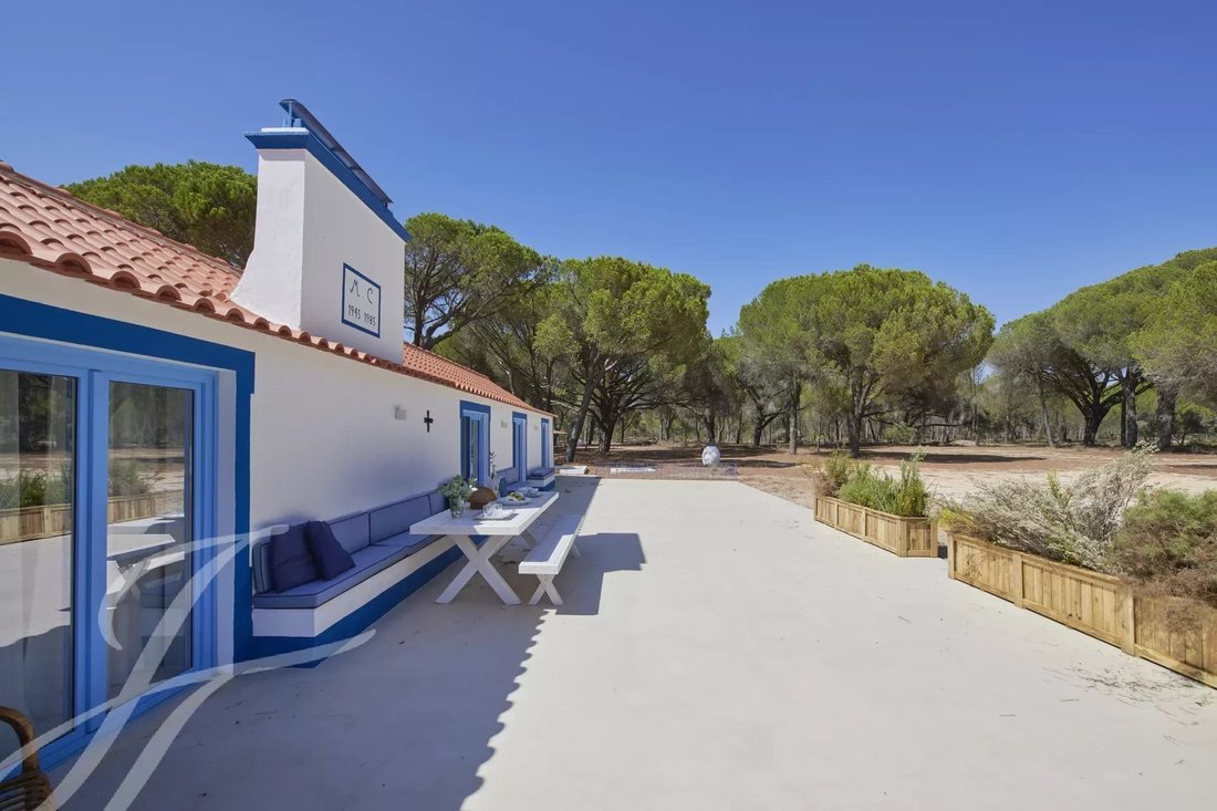 Large Farm With House, 49ha, Pinheiro Do Cravo, In Melides, Setubal ...