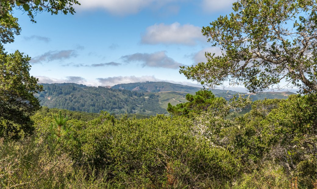 9 Corral (Lot D3) Run In Carmel By The Sea, California, United States ...