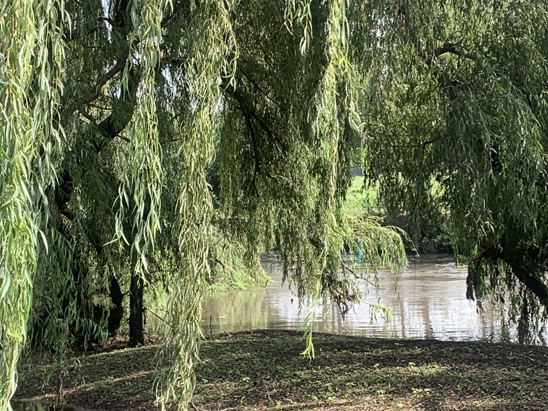 18 Hectares Of Prime Land With Scenic In Randvaal, Gauteng, South ...