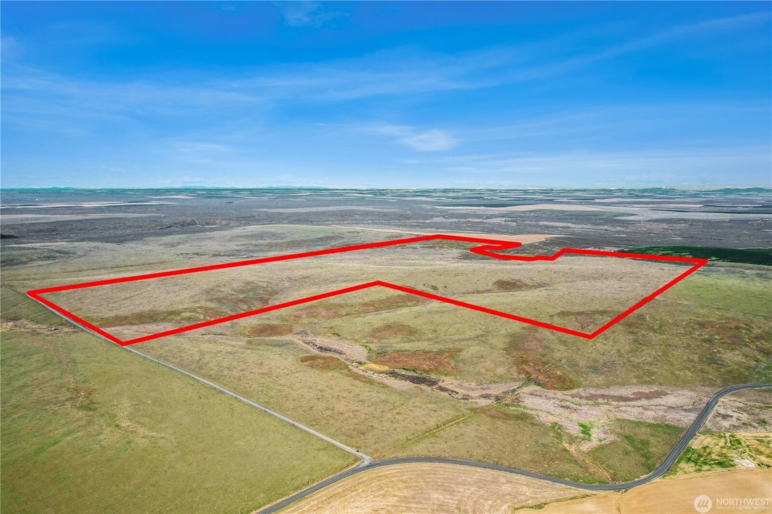 Farm/Ranch In Odessa, Washington, United States For Sale (14198452)