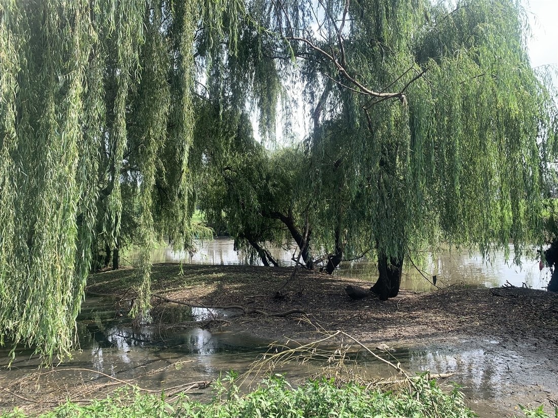 18 Hectares De Terrain De Choix Avec Dans Randvaal, Gauteng, Afrique Du ...