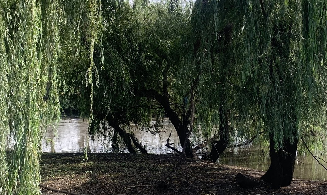 18 Hectare Lush Landscape With River! In Randvaal, Gauteng, South ...