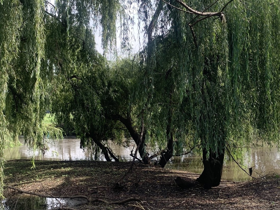 18 Hectare Lush Landscape With River! In Randvaal, Gauteng, South ...