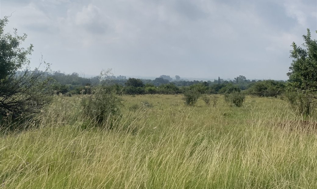 18 Hectares Of Prime Land With Scenic In Randvaal, Gauteng, South ...